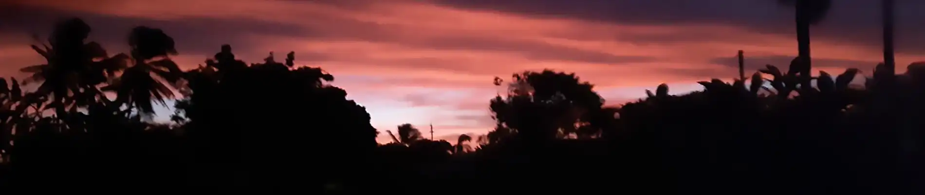 Bookings - The Retreat @ Forrest Beach